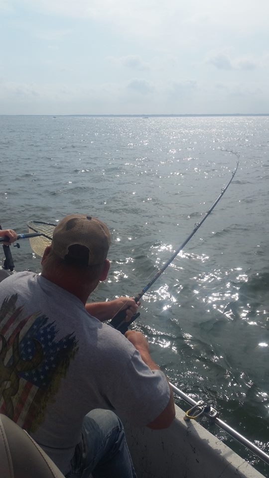 Gallery - Hooked On Rods