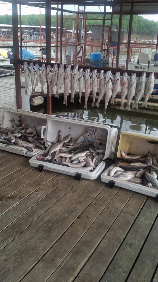 Gallery – Hooked On Rods