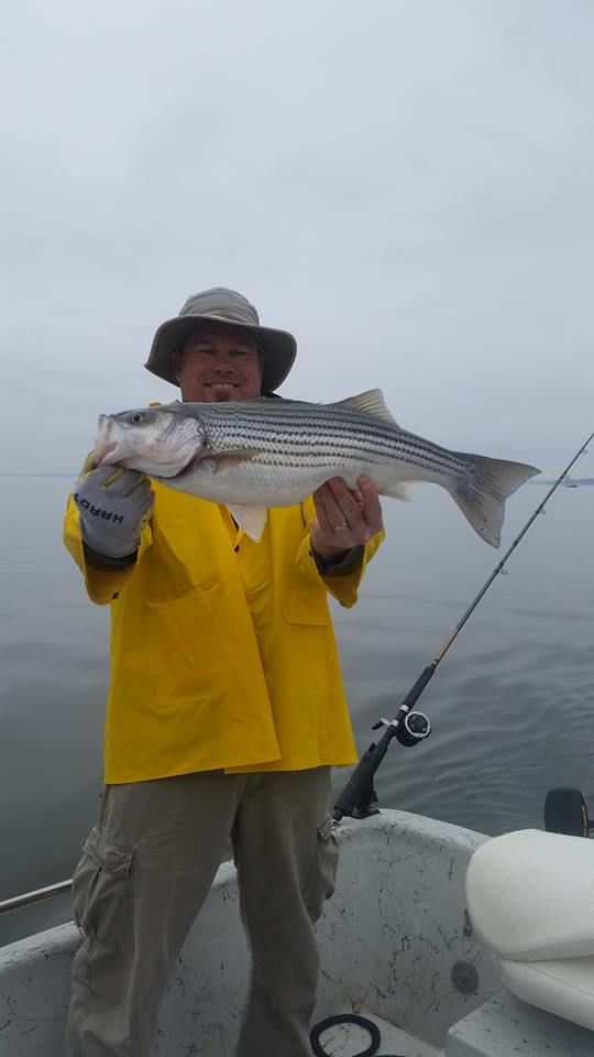 Gallery – Hooked On Rods